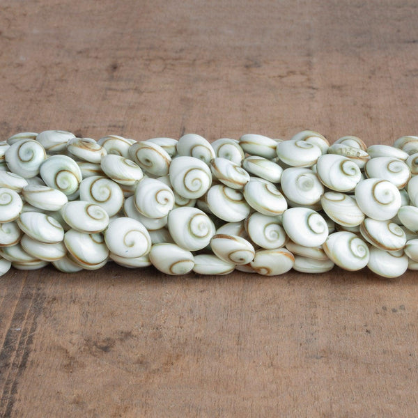 10x8mm Shiva Eye Shell Ovals 16 inch 41 beads – The Bead Traders